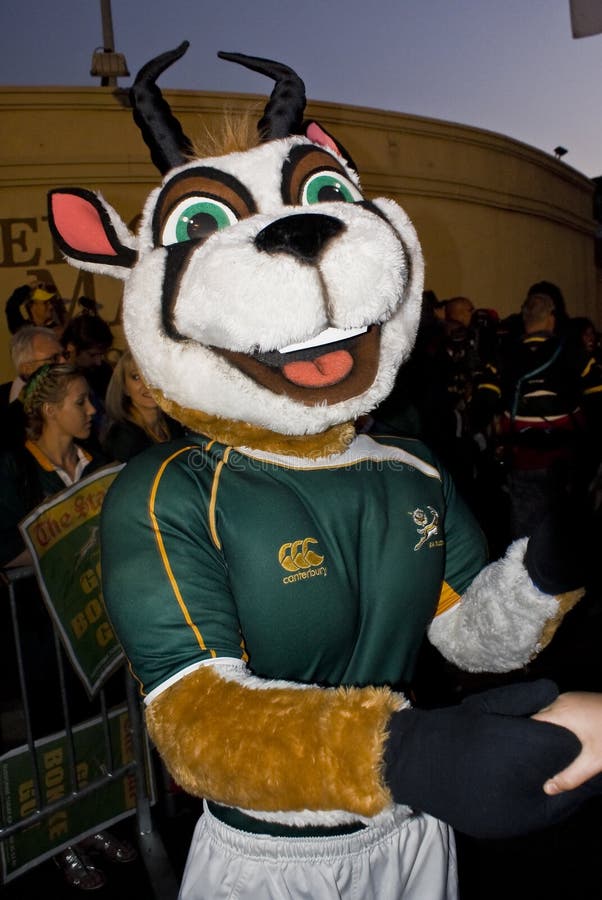 Bokke - Mascot editorial image. Image of mandela, fans - 20971620