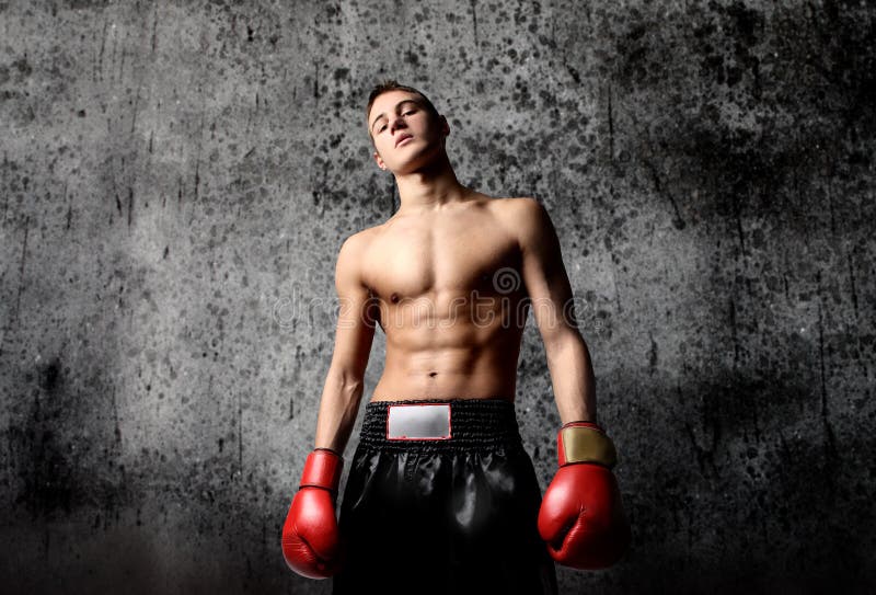 Bokser stock foto. Image of jongen, mens, mannetje, barst - 11956792