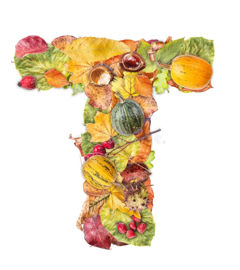 Ekbokstav T vektor illustrationer. Illustration av bostonian - 104225441