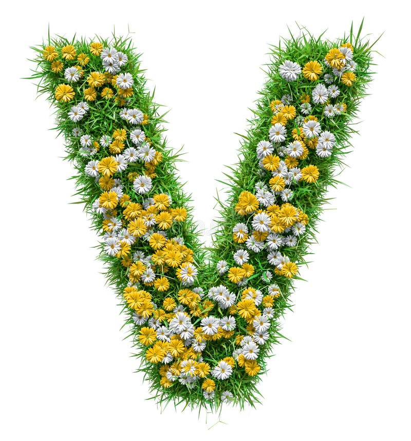 Bokstav V Av Grönt Gräs Och Blommor Stock Illustrationer - Illustration ...