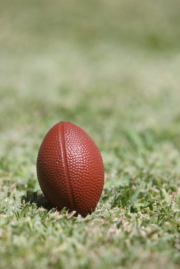 Bola De Rugbi Imagen. Imagen: 15208351