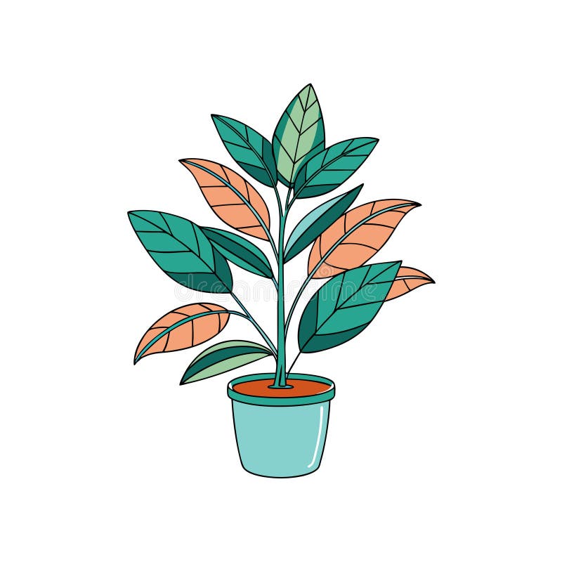 Bold Amazon Sword Plant Illustration Stock Image - Image of beauty ...