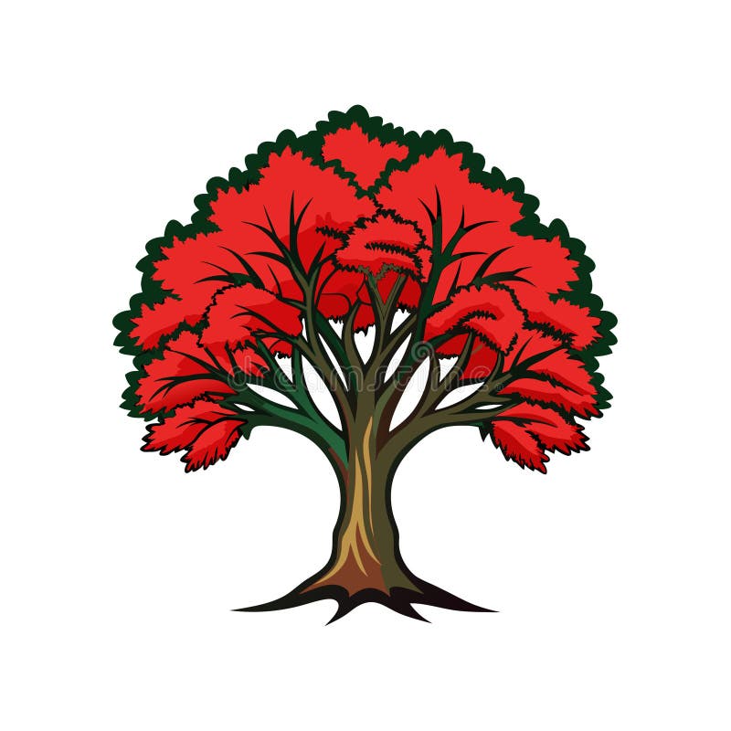 Bold Arizona Ash Tree Illustration on White Background Stock ...