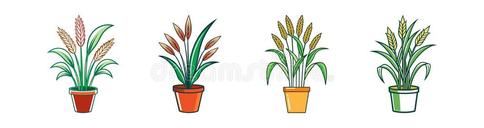 Bold Thread Millet Plant Artwork Stock Vector - Illustration of plant ...