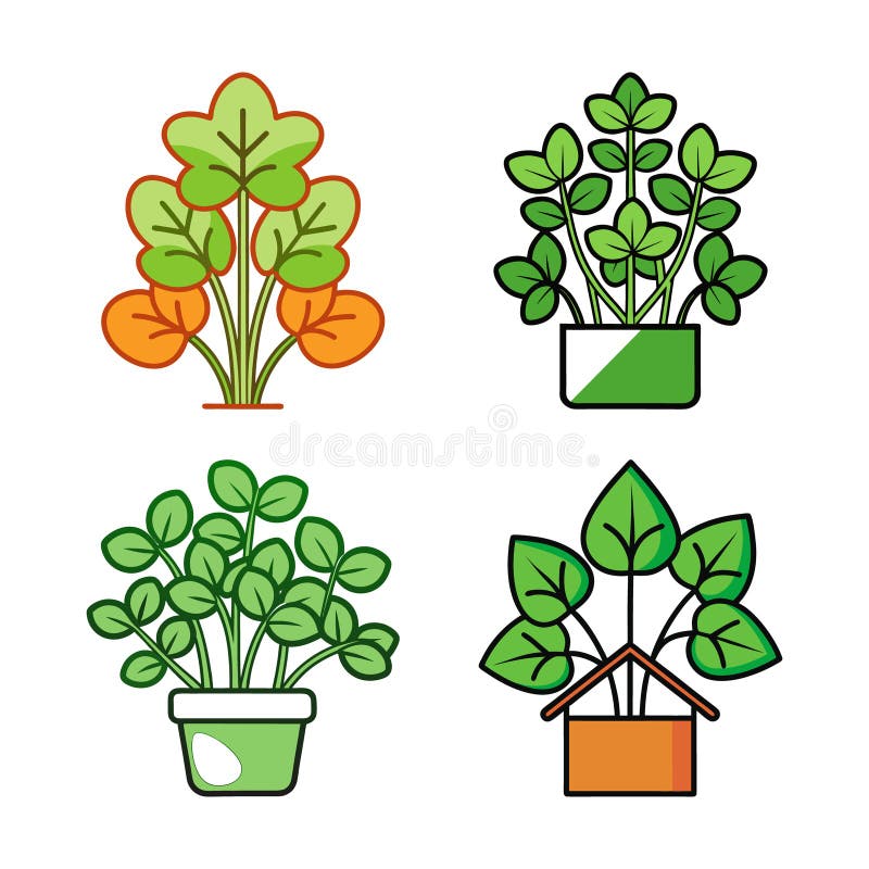Bold Water Cress Houseplant Artwork Stock Vector - Illustration of ...
