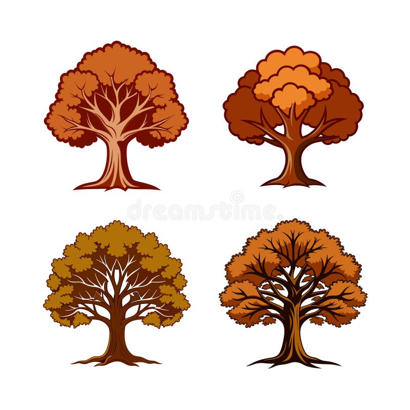 Bold Brown Oak Tree Illustration on White Background Stock Vector ...