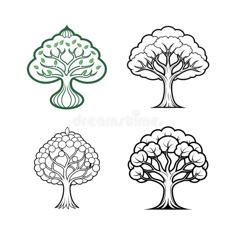 Bold Calabash Tree Illustration on White Background Stock Vector ...