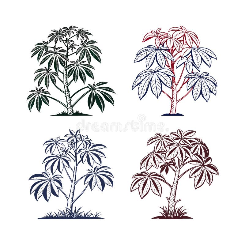 Bold Cassava Houseplant Illustration Stock Illustration - Illustration ...