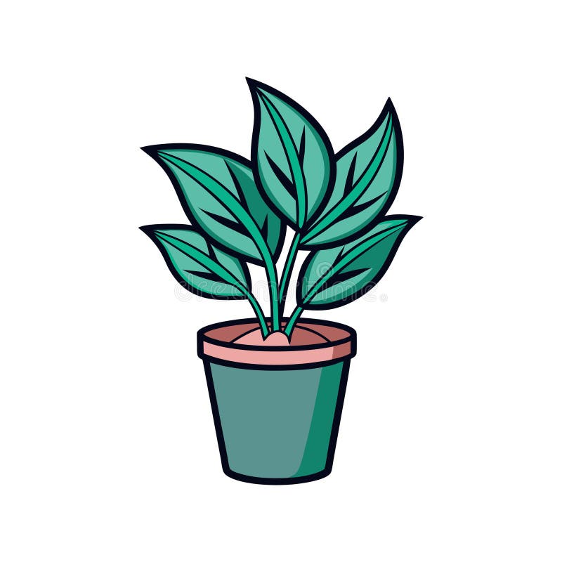 Bold Cast Iron Plant Illustration Stock Photo - Illustration of ...