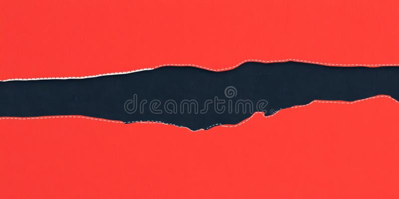 Bold Decorative Banner with Contrasting Empty Space and Embroidered ...