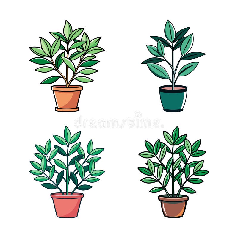 Bold Ruscus Houseplant Illustration Design Stock Vector - Illustration ...
