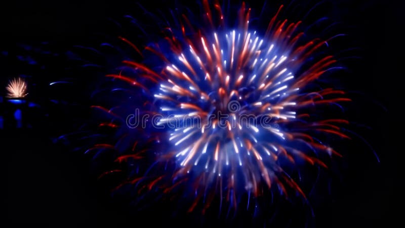 Bold and Dramatic these Radiant Firework Bursts Bring a Splash of Color ...