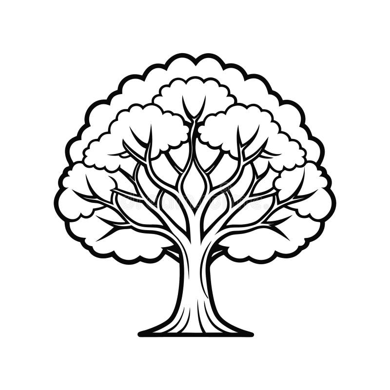 Bold Franklin Tree Illustration on White Background Stock Photo ...