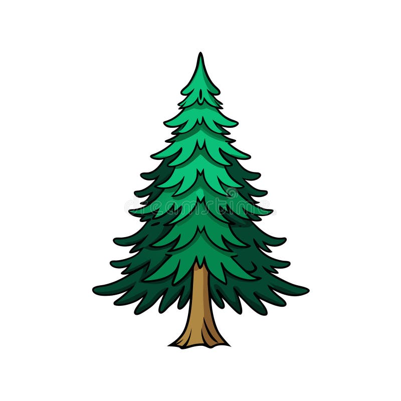 Bold Fraser Fir Tree Illustration on White Background Stock ...