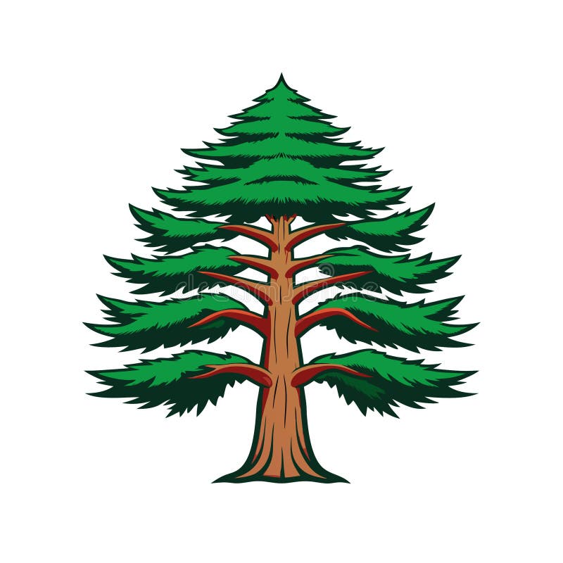 Bold Cedar Tree Illustration Design Stock Photo - Illustration of ...