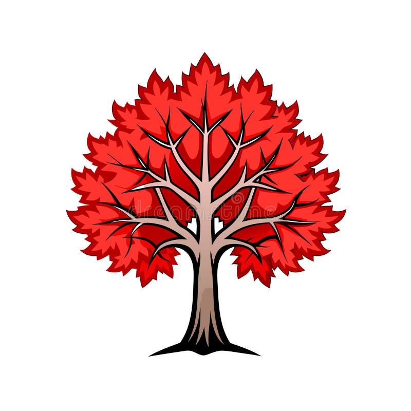 Bold Illustration of Red Maple Tree Stock Illustration - Illustration ...