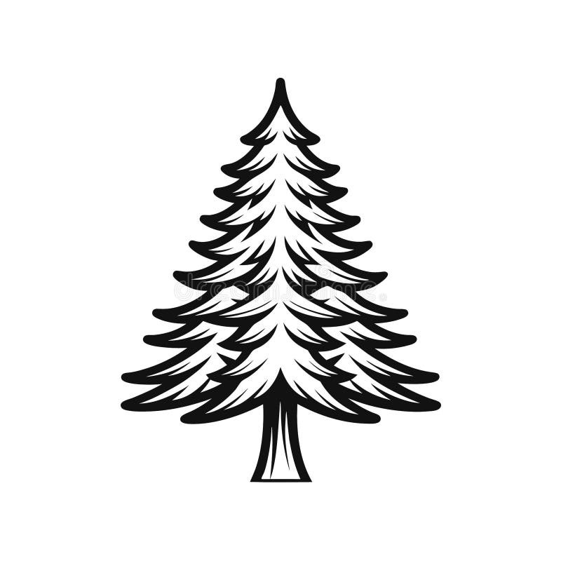 Bold Illustration of Spruce Tree Stock Photo - Illustration of nature ...
