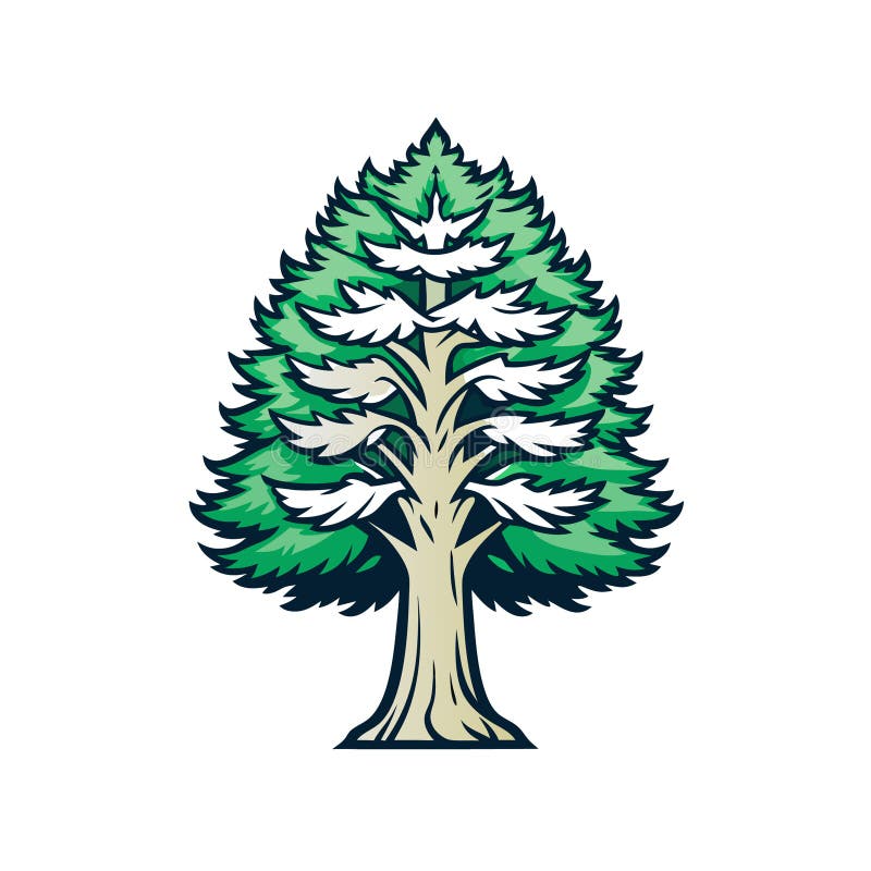 Bold Illustration of White Cedar Tree Stock Illustration - Illustration ...