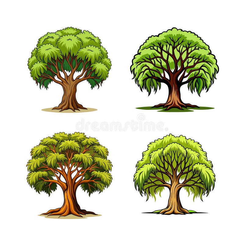 Bold Illustration of Willow Oak Tree Stock Vector - Illustration of ...