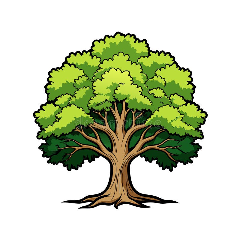 Bold Illustration of White Oak Tree Stock Image - Illustration of ...