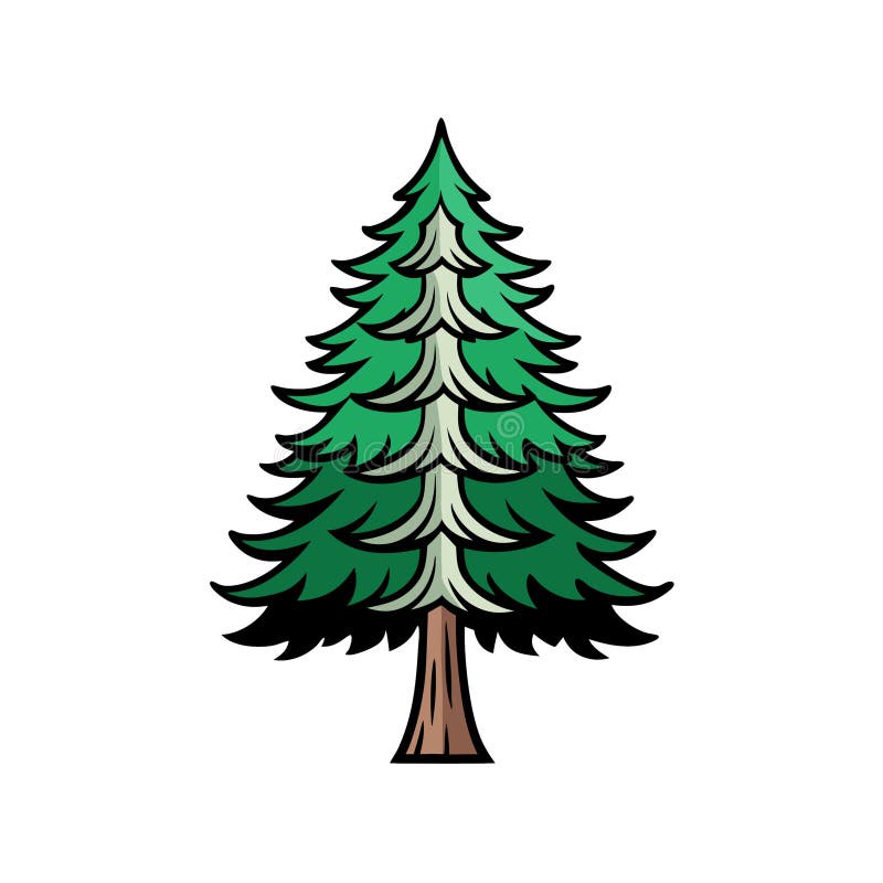 Bold Illustration of White Pine Tree Stock Illustration - Illustration ...