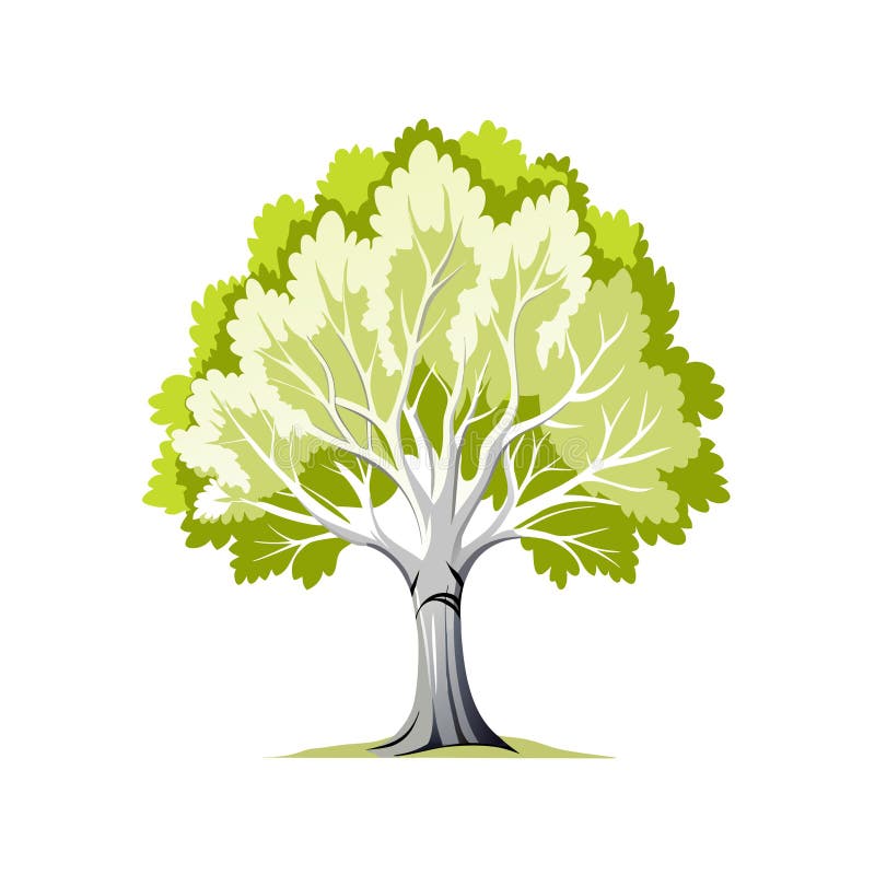 Bold Illustration of White Poplar Tree Stock Illustration ...