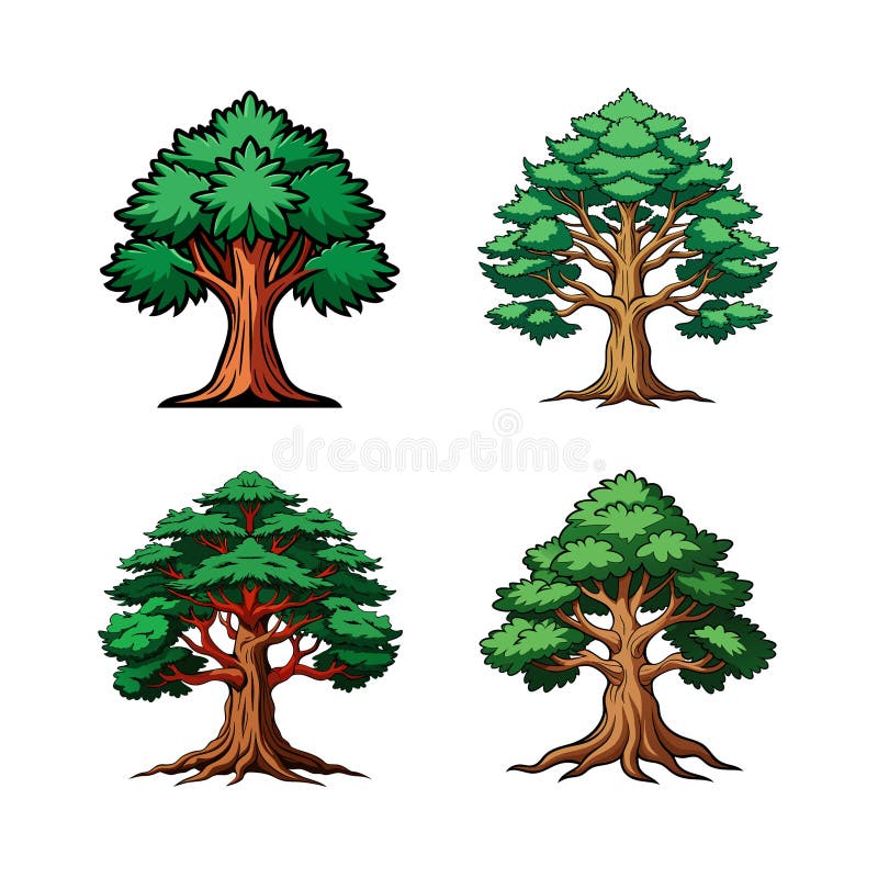 Bold Illustration of Yew Tree Stock Vector - Illustration of botanical ...