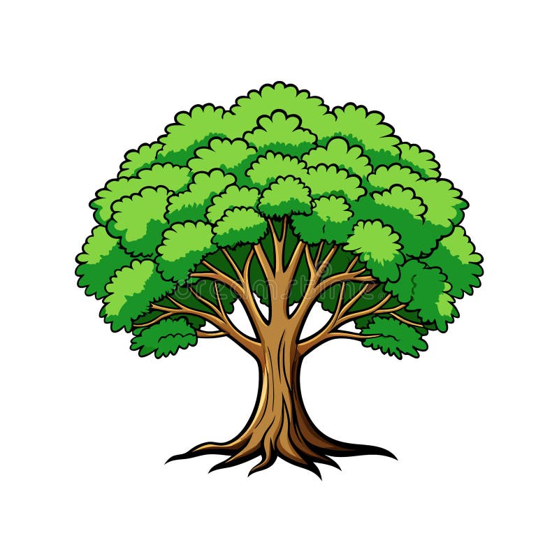 Bold Outline of Box Elder Tree Illustration Stock Illustration ...