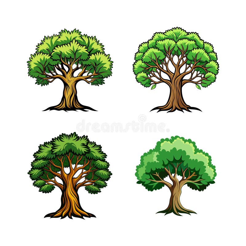 Bold Russian Olive Tree Illustration with Clear Outline Stock Vector ...