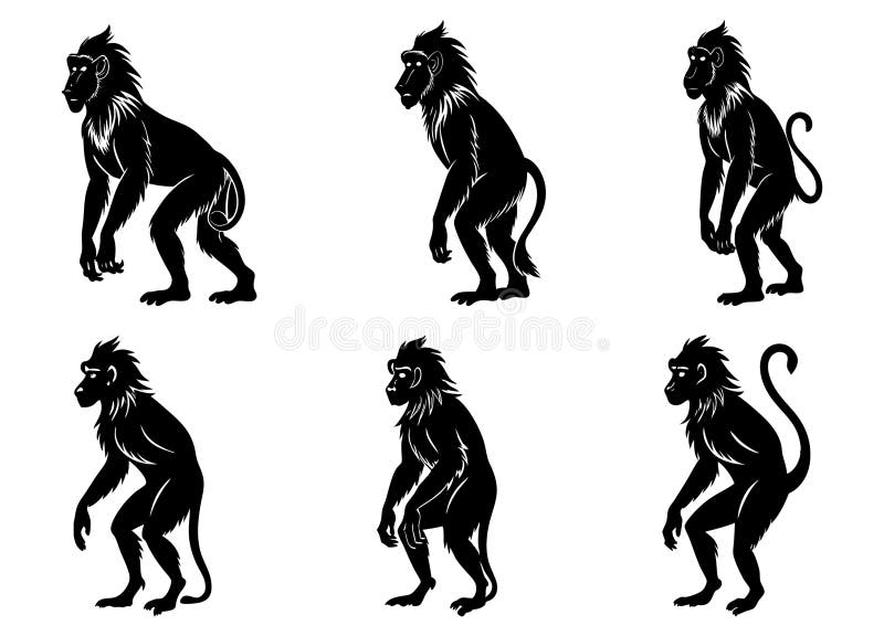 Set of Baboon Silhouettes in Different Poses Vector Illustration Stock ...