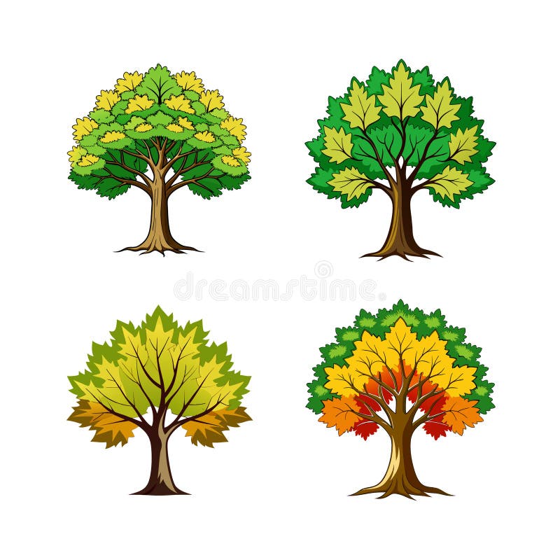 Bold Sycamore Maple Tree Illustration with Clear Outline Stock Vector ...