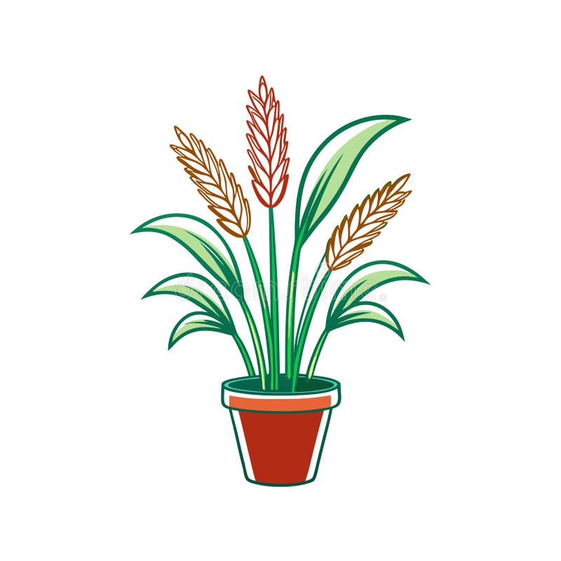 Bold Thread Millet Plant Artwork Stock Illustration - Illustration of ...