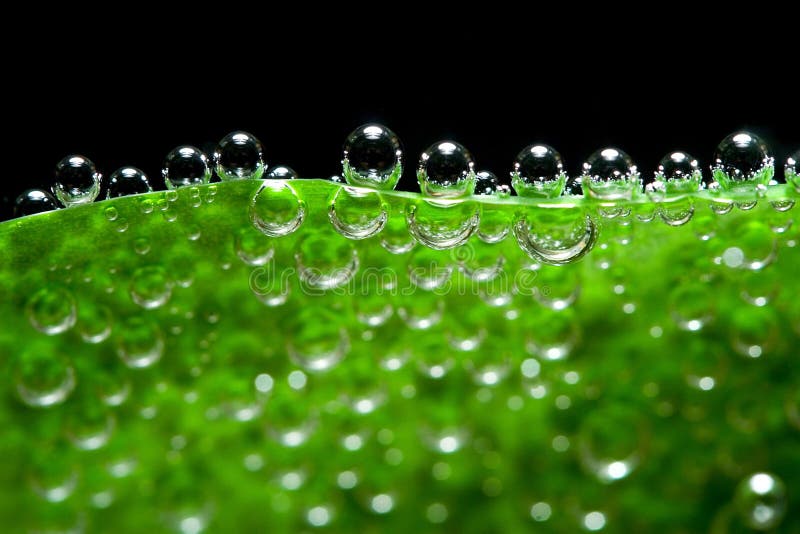 Bolhas verdes foto de stock. Imagem de textura, limpo - 4880062