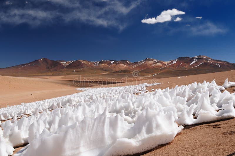 Bolivia stock photo. Image of bolivian, sand, color, fauna - 21743986