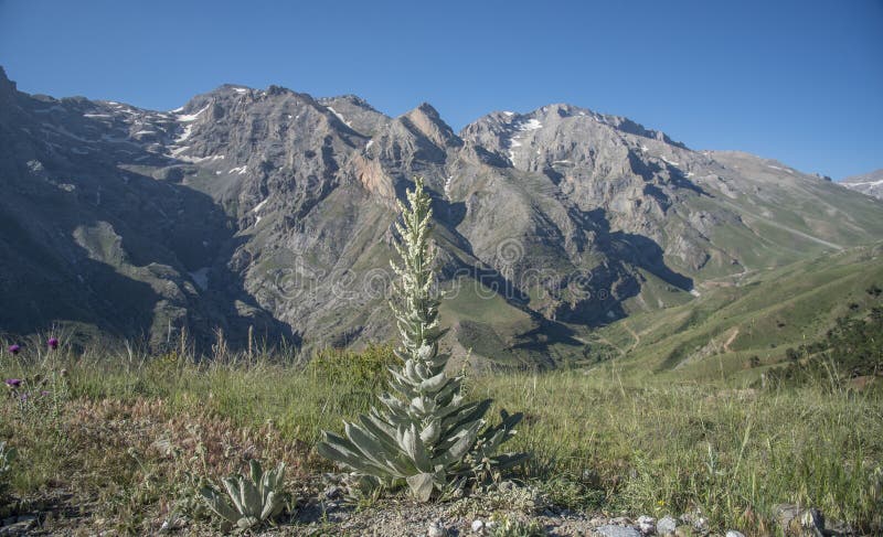 Bolkar Mountains from Various Angles Green Colored Nature Stock Photo ...