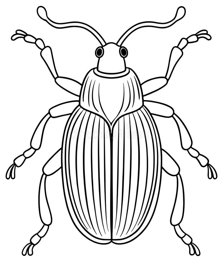 Weevil Drawing Stock Illustrations – 520 Weevil Drawing Stock ...