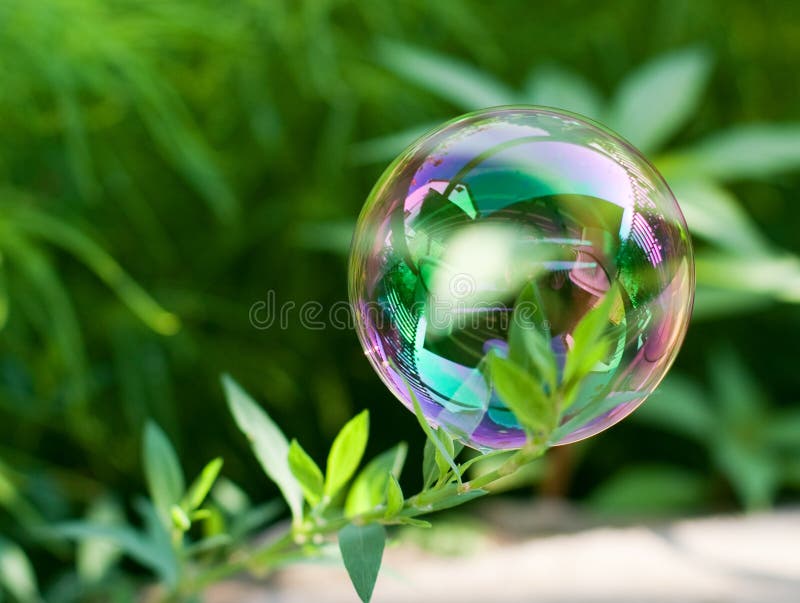 Bolla di sapone immagine stock. Immagine di giocattolo - 20378265