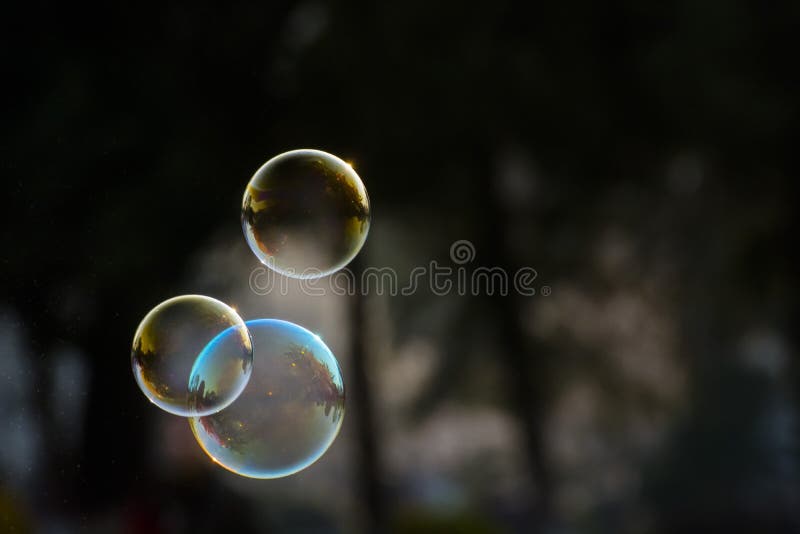 Bolla di sapone immagine stock. Immagine di lusso, pranzo - 53539293