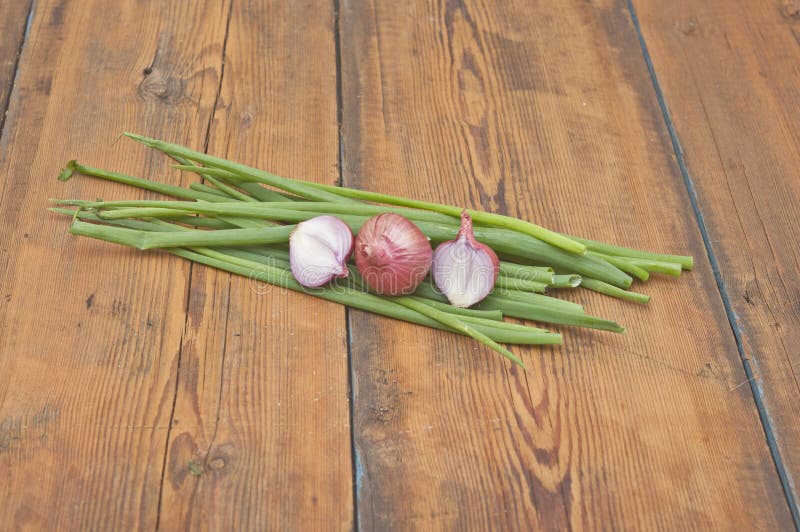 Bollen Van Rode Ui Met Groene Bladeren Stock Afbeelding - Image of ...