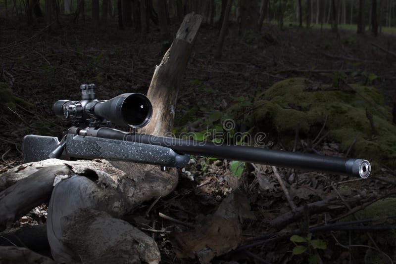 High Powered Weapon in the Forest Stock Photo - Image of brown, forest ...