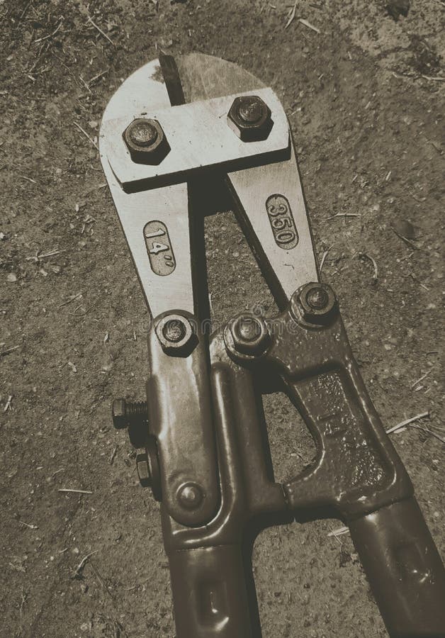 Bolt cutters stock photo. Image of cutter, tool, black - 97061460