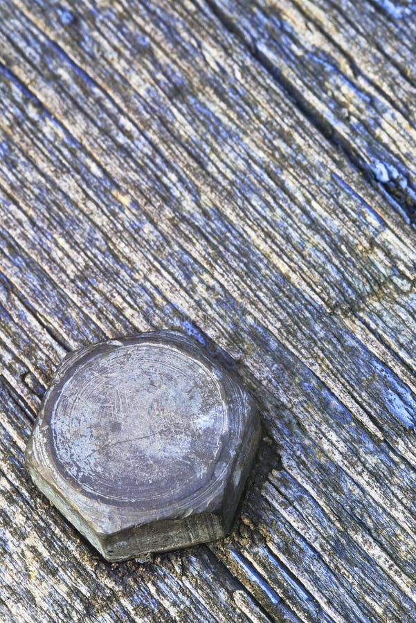 Bolt head stock photo. Image of steel, screws, objects - 43874782