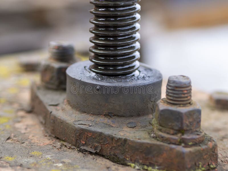 Bolt Thread Close Up. Bolt in Grease Stock Image - Image of macro ...