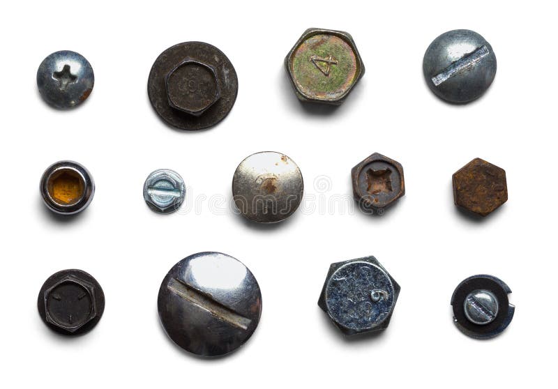 Bolts and Screws stock image. Image of hardware, bolts - 313049747