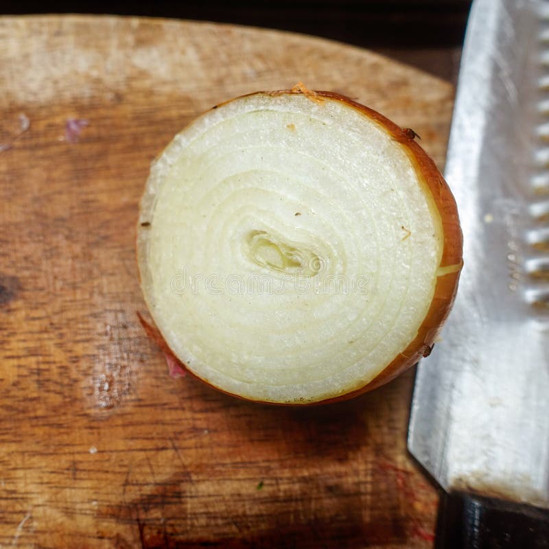 Bombay Onion Cutted in Half Stock Image - Image of carving, food: 260943097