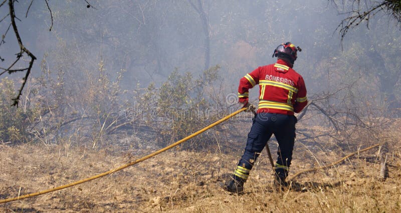 Bombeiros, Fireworker in Portugal Fighting Against the Fire Editorial ...