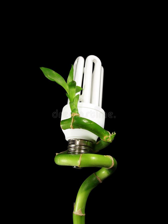 Bombilla con la planta foto de archivo. Imagen de aislado - 29415370