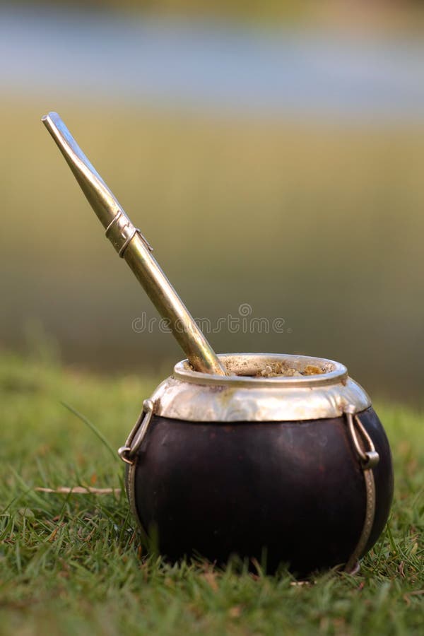 Macro 2 del compañero foto de archivo. Imagen de calabaza - 18110382