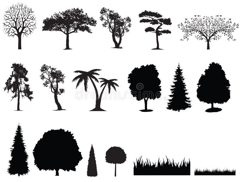 Bomen vector illustratie. Illustration of profiel, palm - 34757779