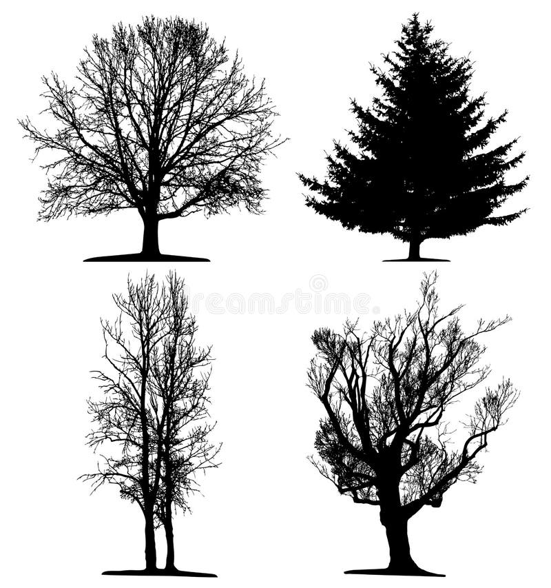 Bomen vector illustratie. Illustration of boom, stam, geïsoleerd - 3377869